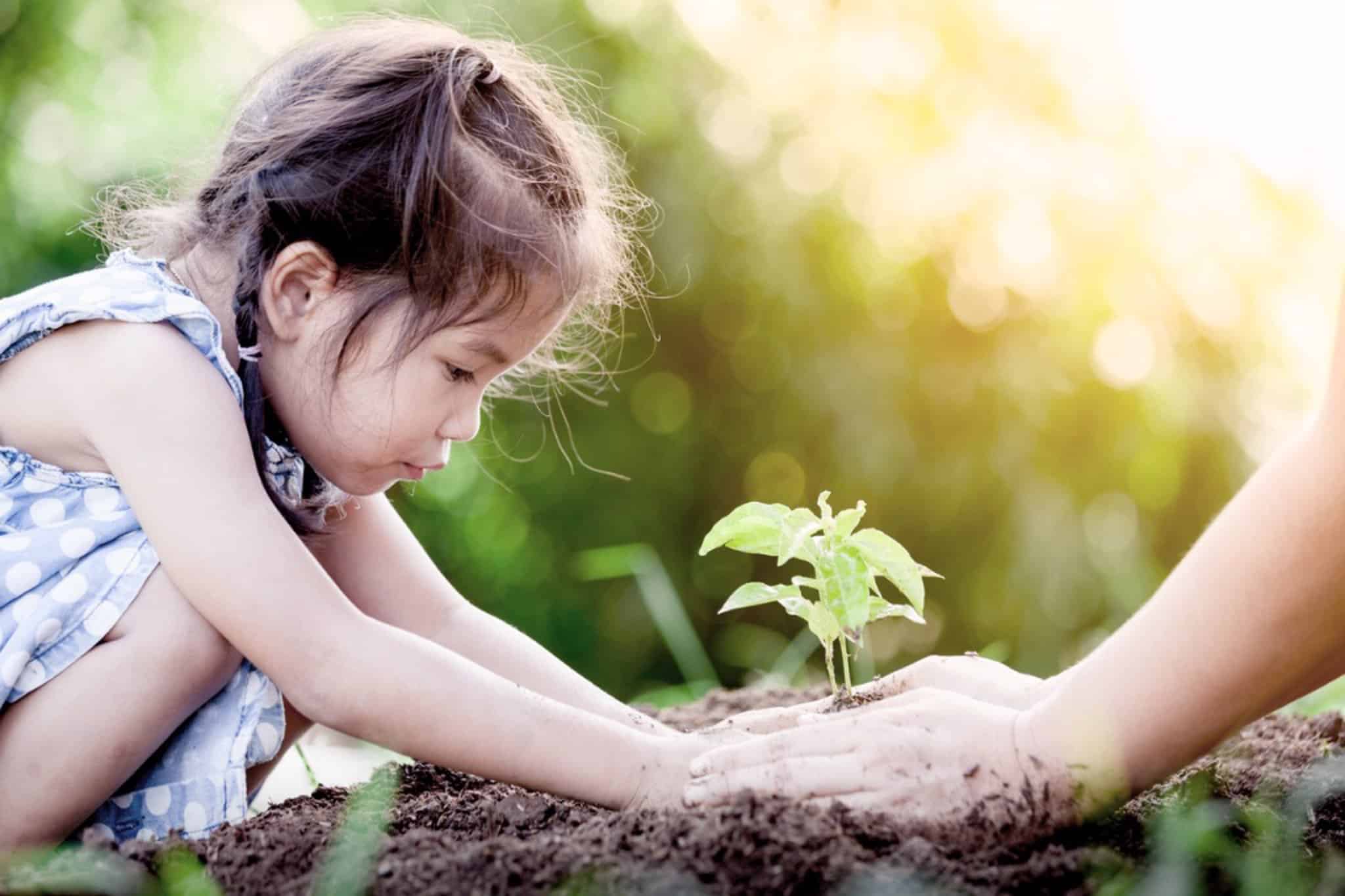 Cuidemos El Planeta: 10 Reglas De Oro Para Enseñar A Los Niños - Hacer ...