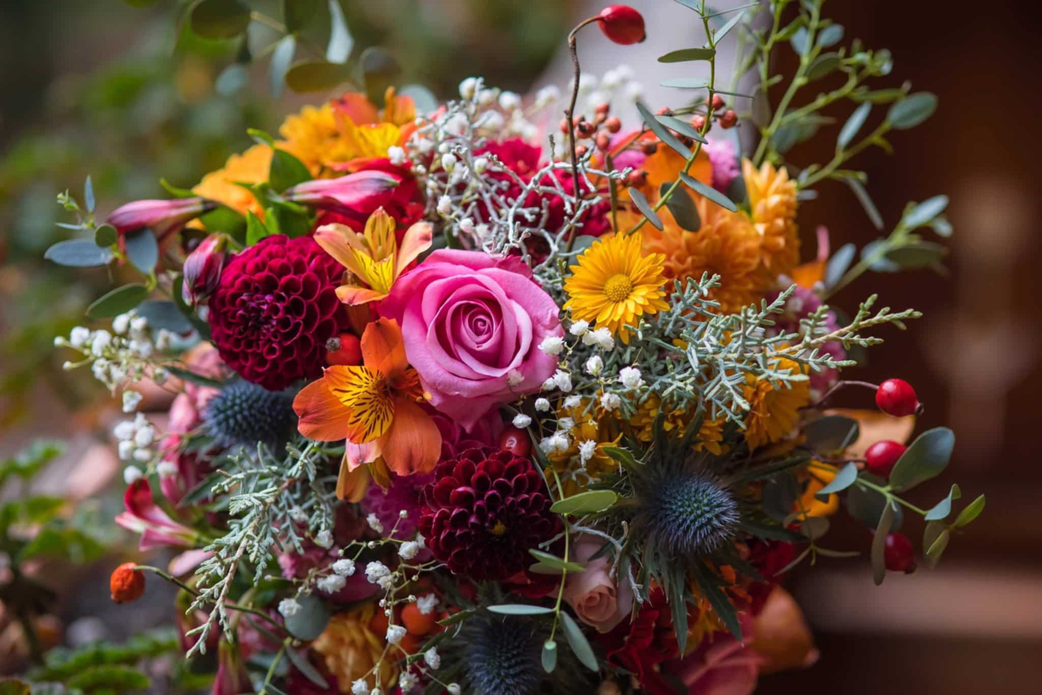 El Significado De Las Flores: El Lenguaje Simbólico De La Naturaleza ...